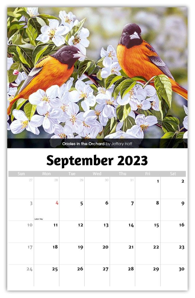 2023 Wall Calendar | Garden Birds