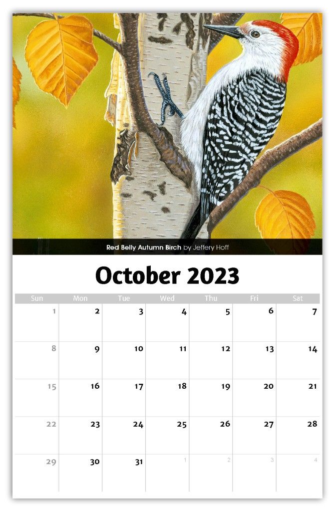 2023 Wall Calendar | Garden Birds