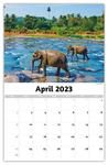 2023 Wall Calendar | International Wildlife