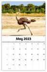 2023 Wall Calendar | International Wildlife