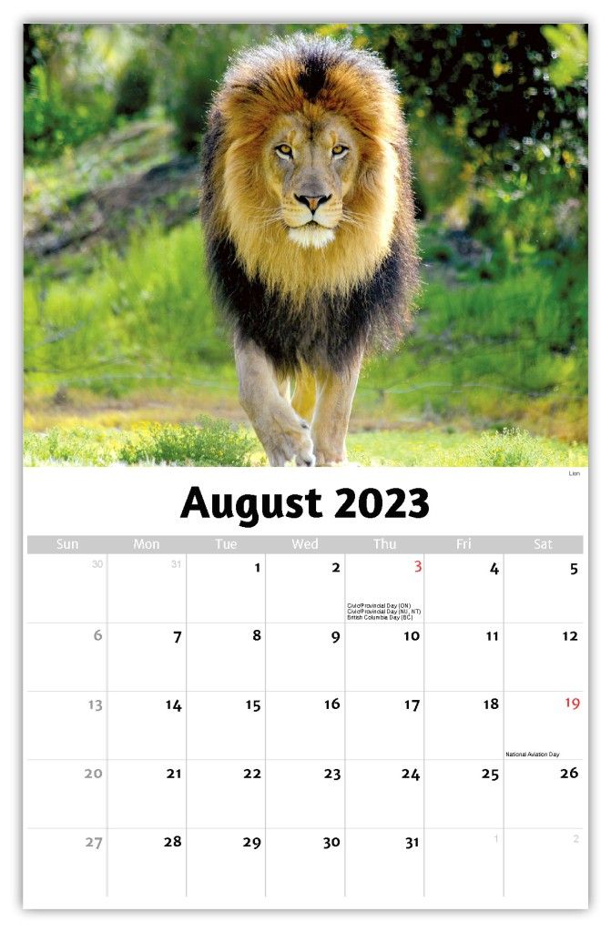 2023 Wall Calendar | International Wildlife