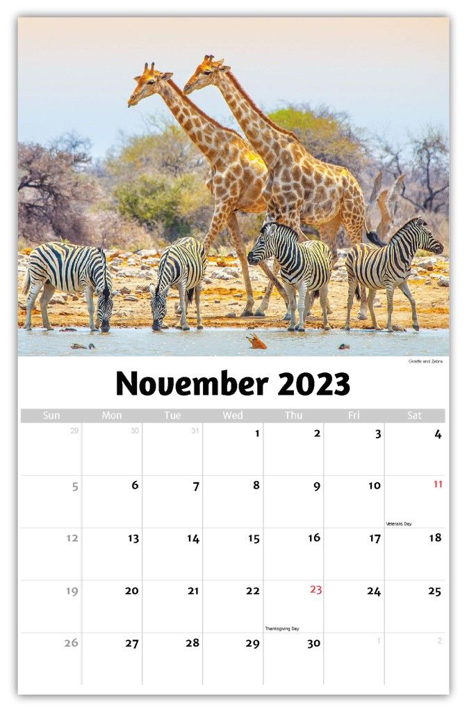 2023 Wall Calendar | International Wildlife