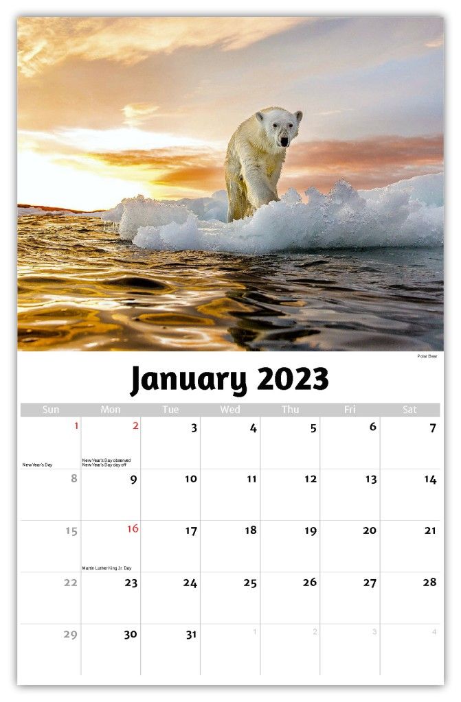 2023 Wall Calendar | North American Wildlife