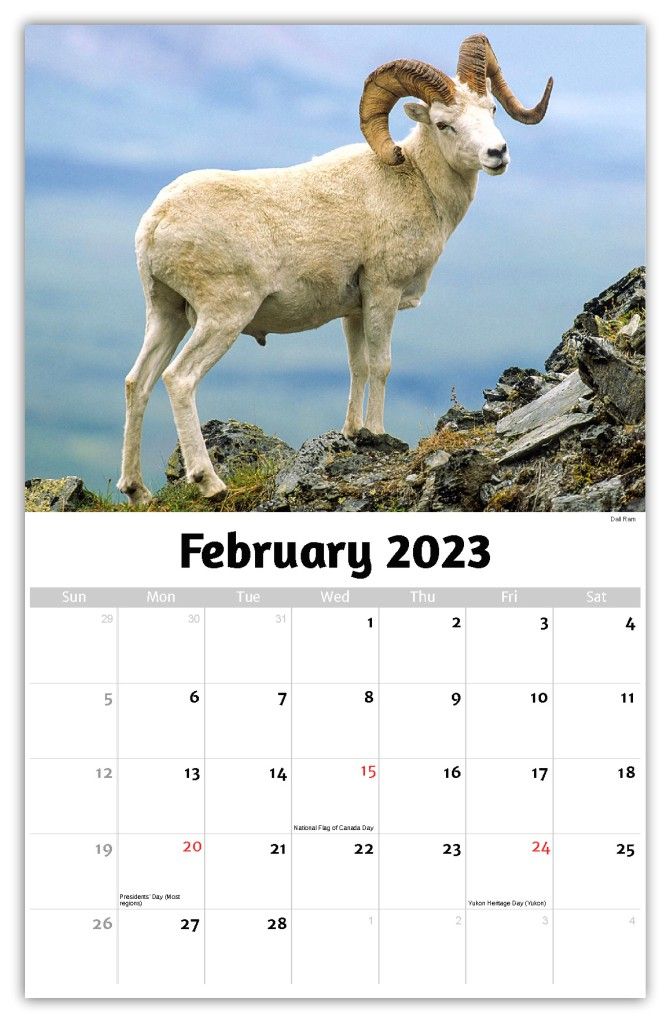 2023 Wall Calendar | North American Wildlife