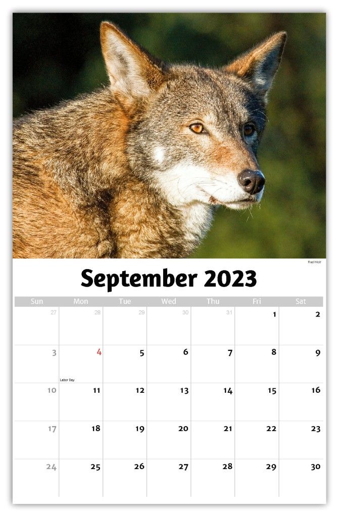 2023 Wall Calendar | North American Wildlife