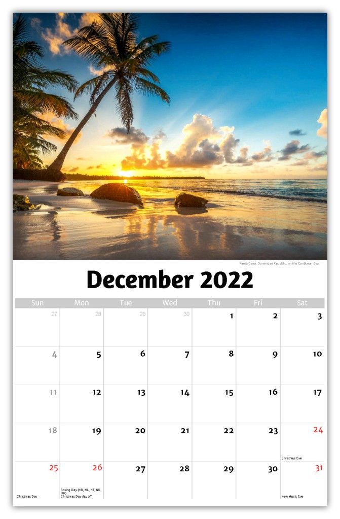 2023 Wall Calendar | Sun, Sand and Surf