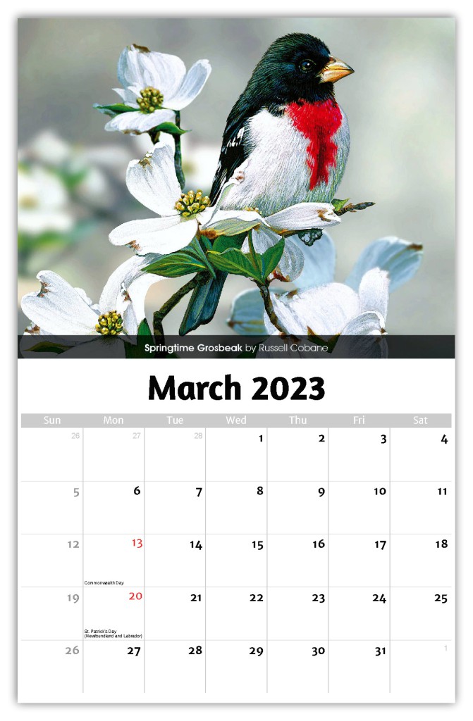2023 Wall Calendar | Garden Birds