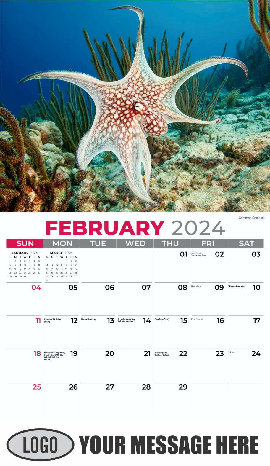 2024 Business Promotion Calendar | International Wildlife