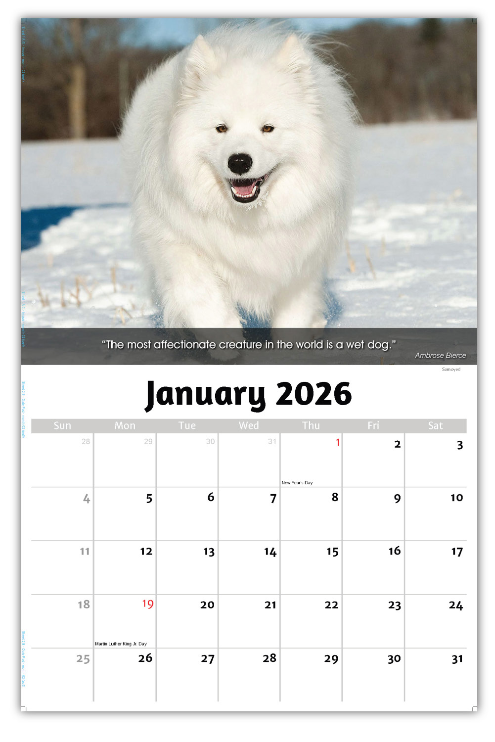 2026 Wall Calendar | Dogs, Mans best friend