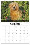 2026 Wall Calendar | Dogs, Mans best friend