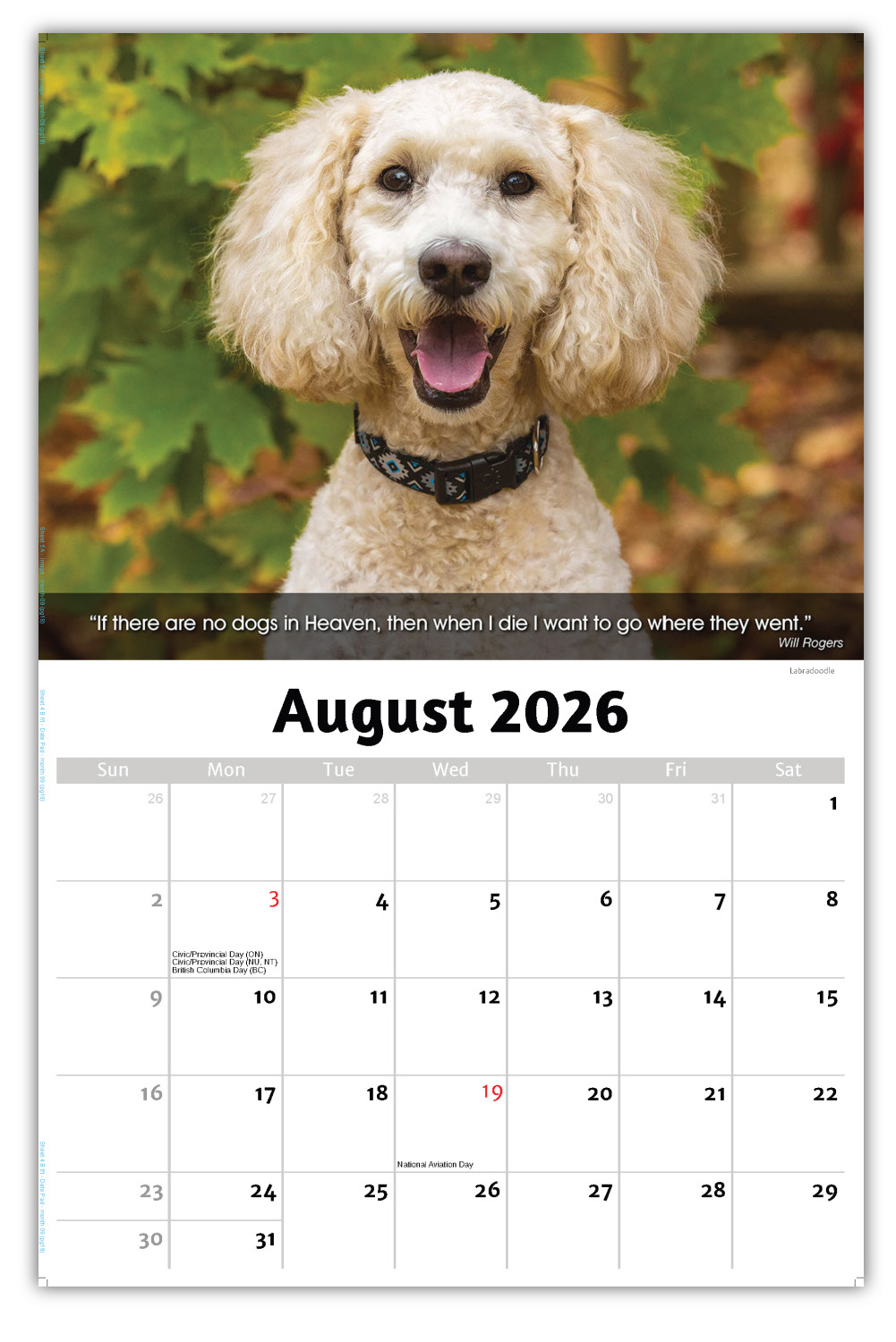 2026 Wall Calendar | Dogs, Mans best friend