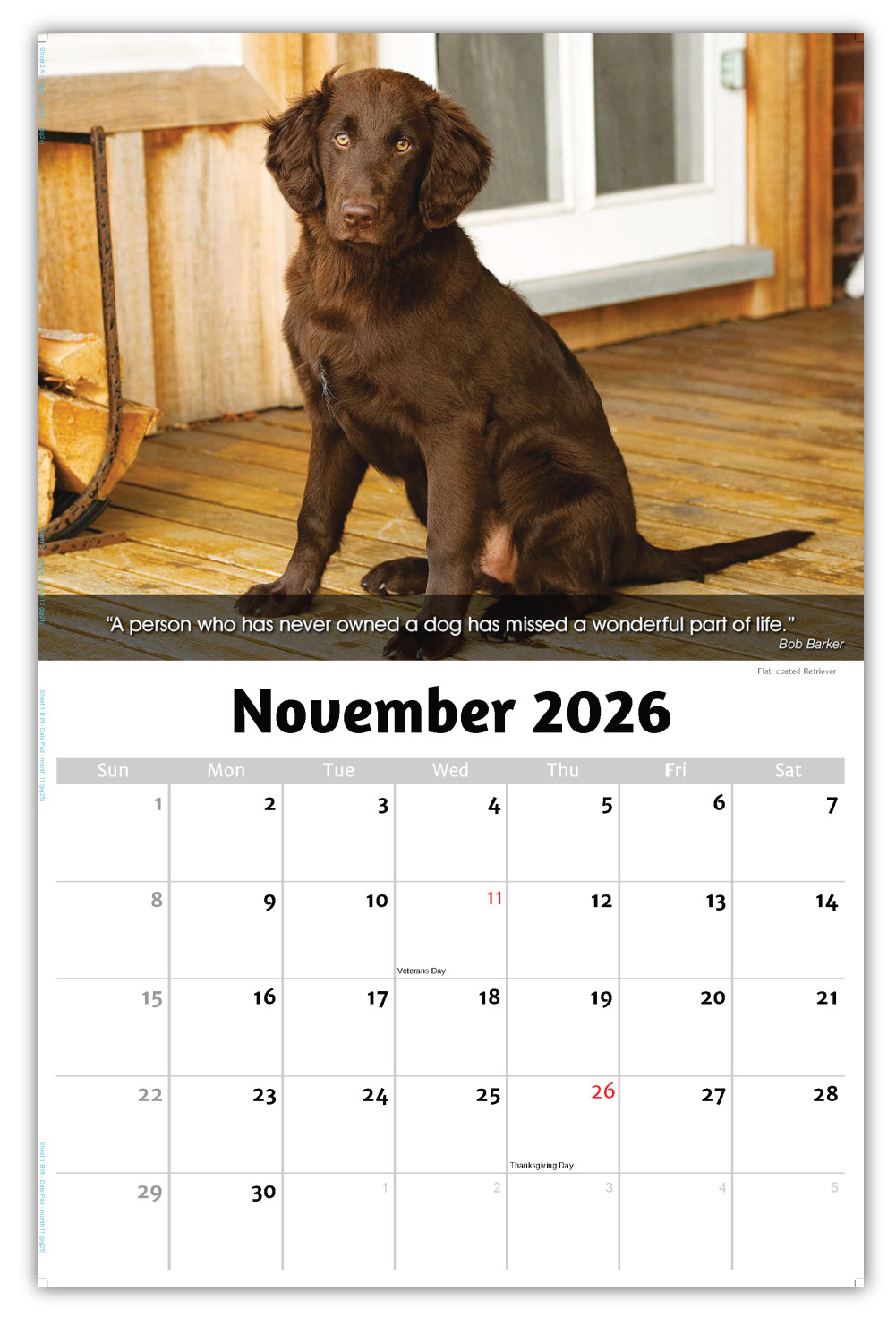 2026 Wall Calendar | Dogs, Mans best friend