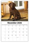 2026 Wall Calendar | Dogs, Mans best friend