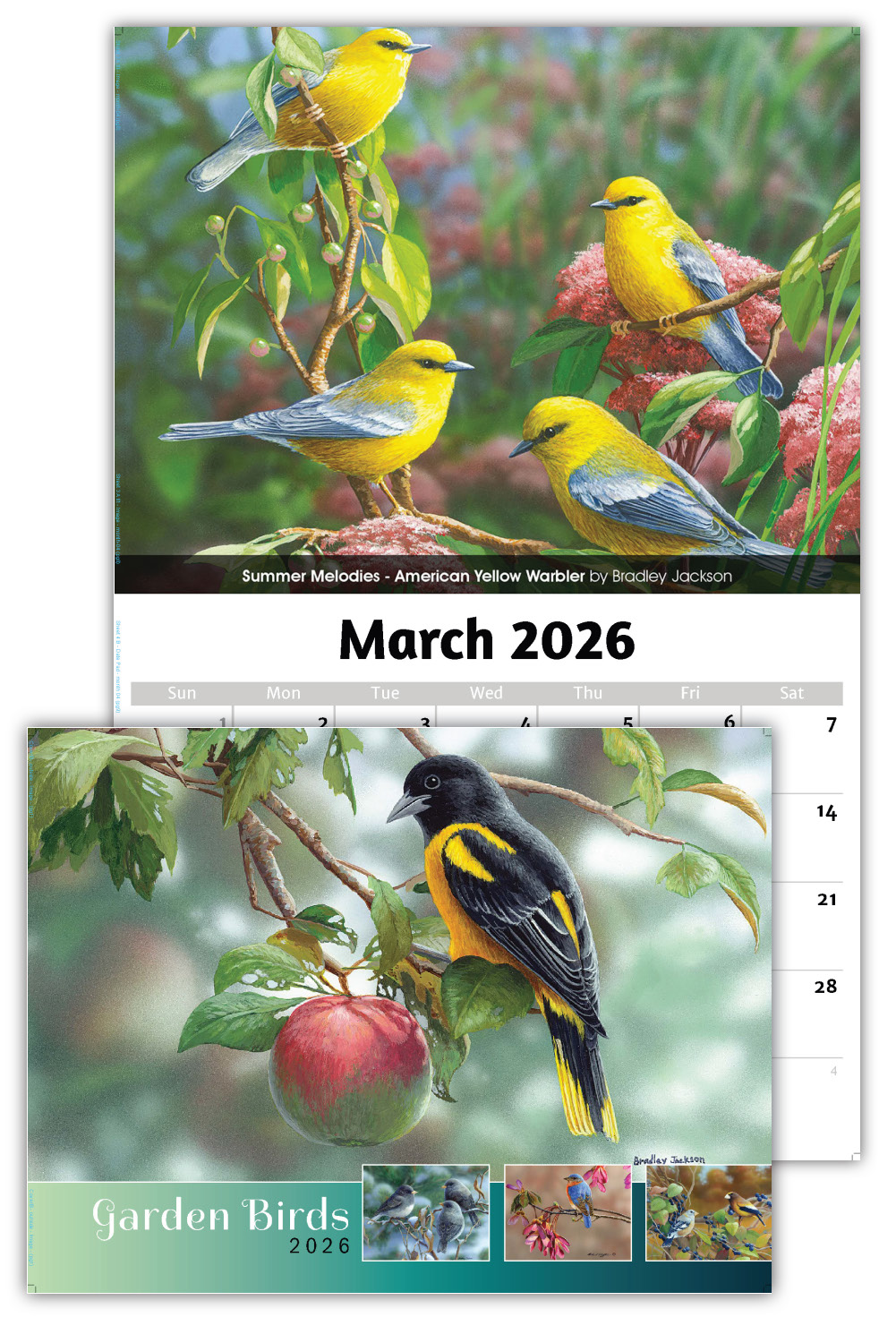2026 Wall Calendar | Garden Birds