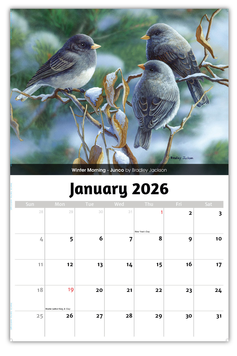 2026 Wall Calendar | Garden Birds