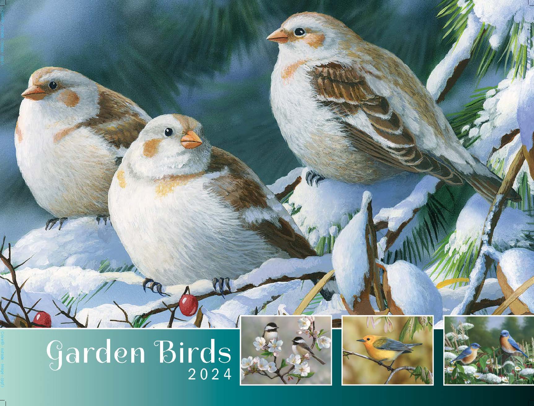 2024 Wall Calendar | Garden Birds