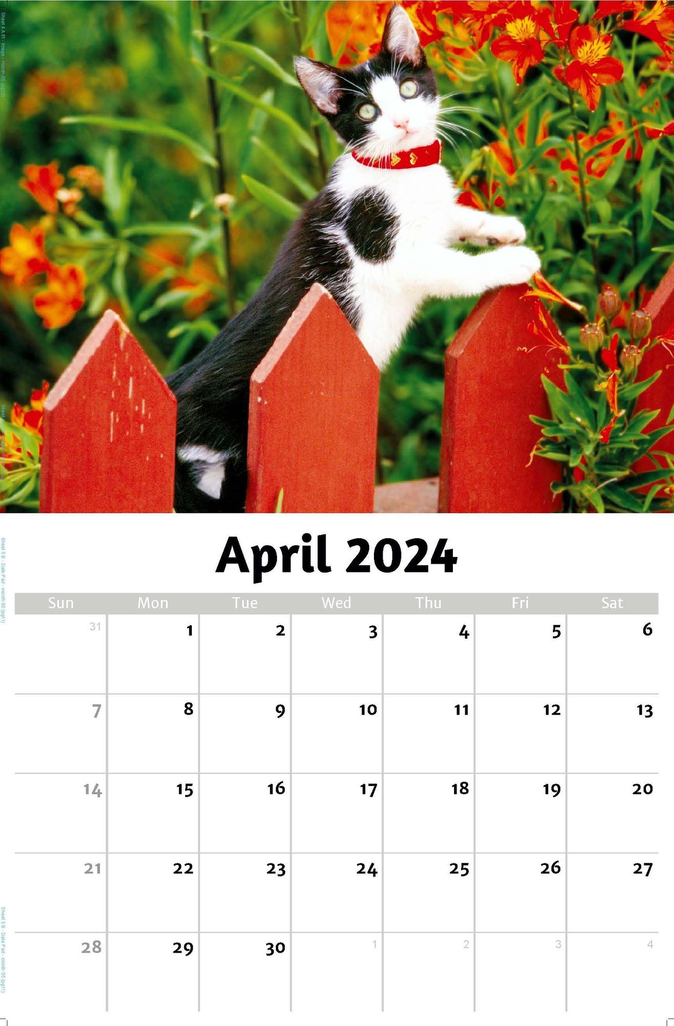 2024 Wall Calendar | Kitens