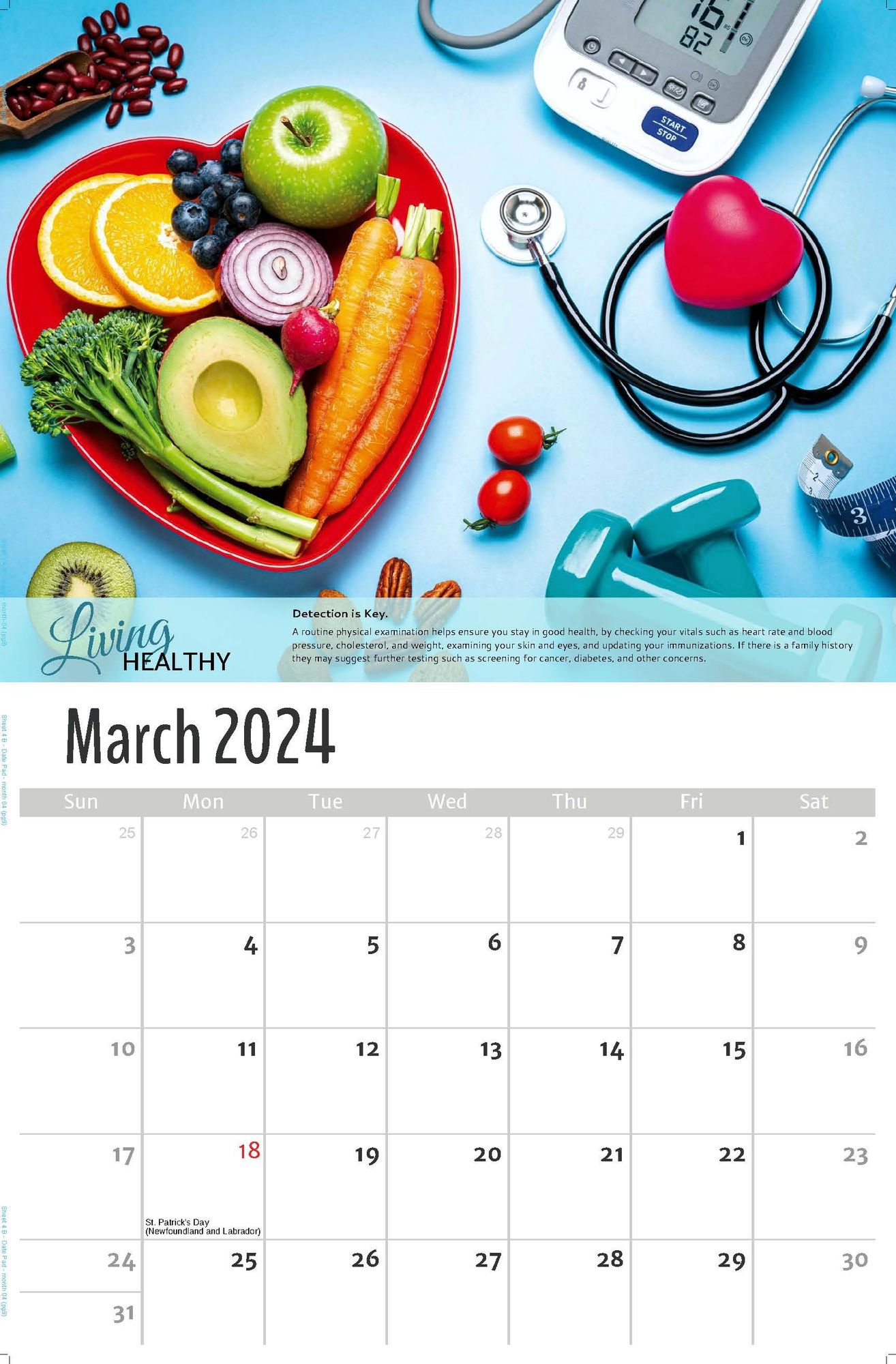 2024 Wall Calendar | Living Healthy