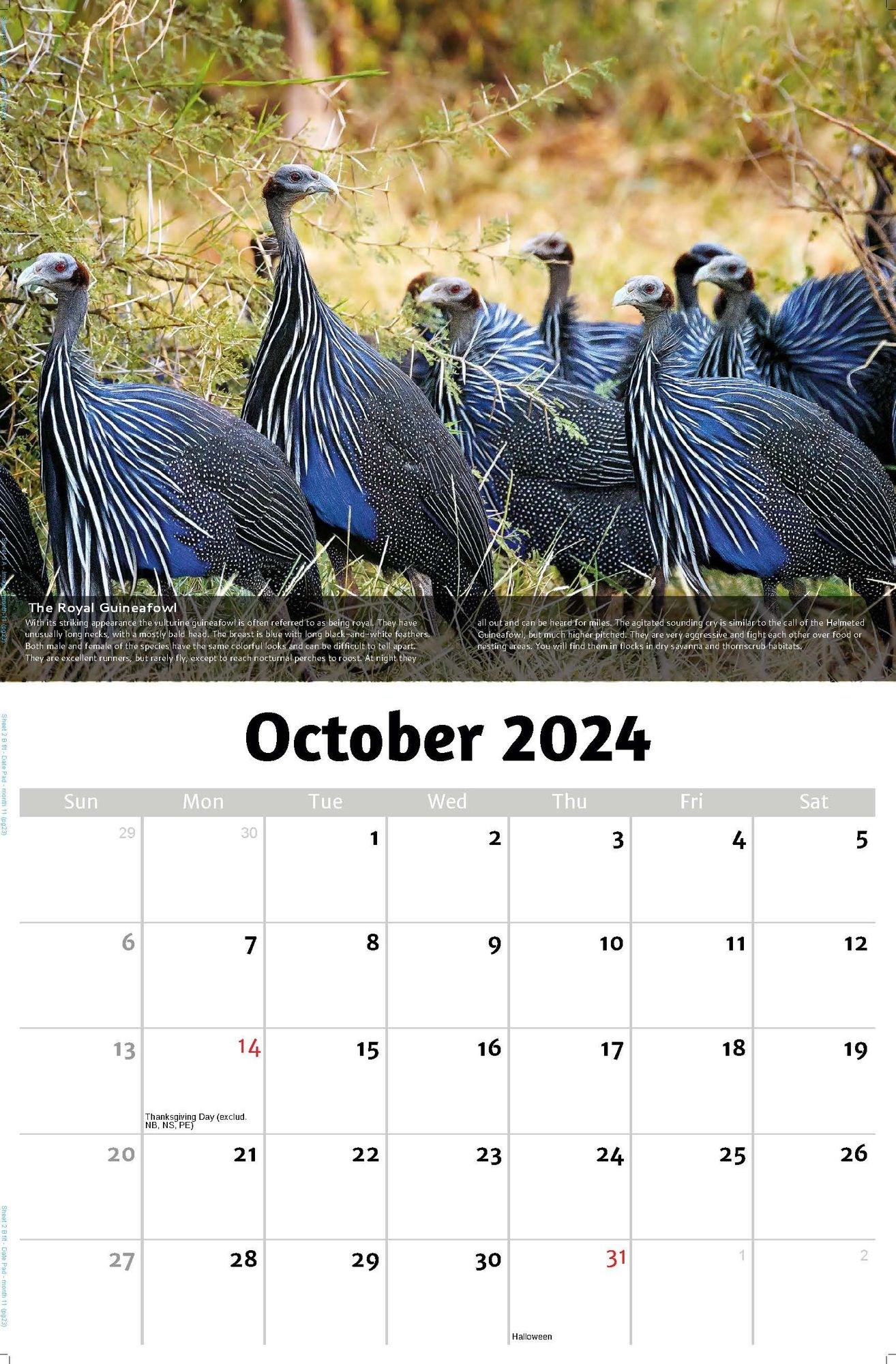 2024 Wall Calendar | Planet Earth