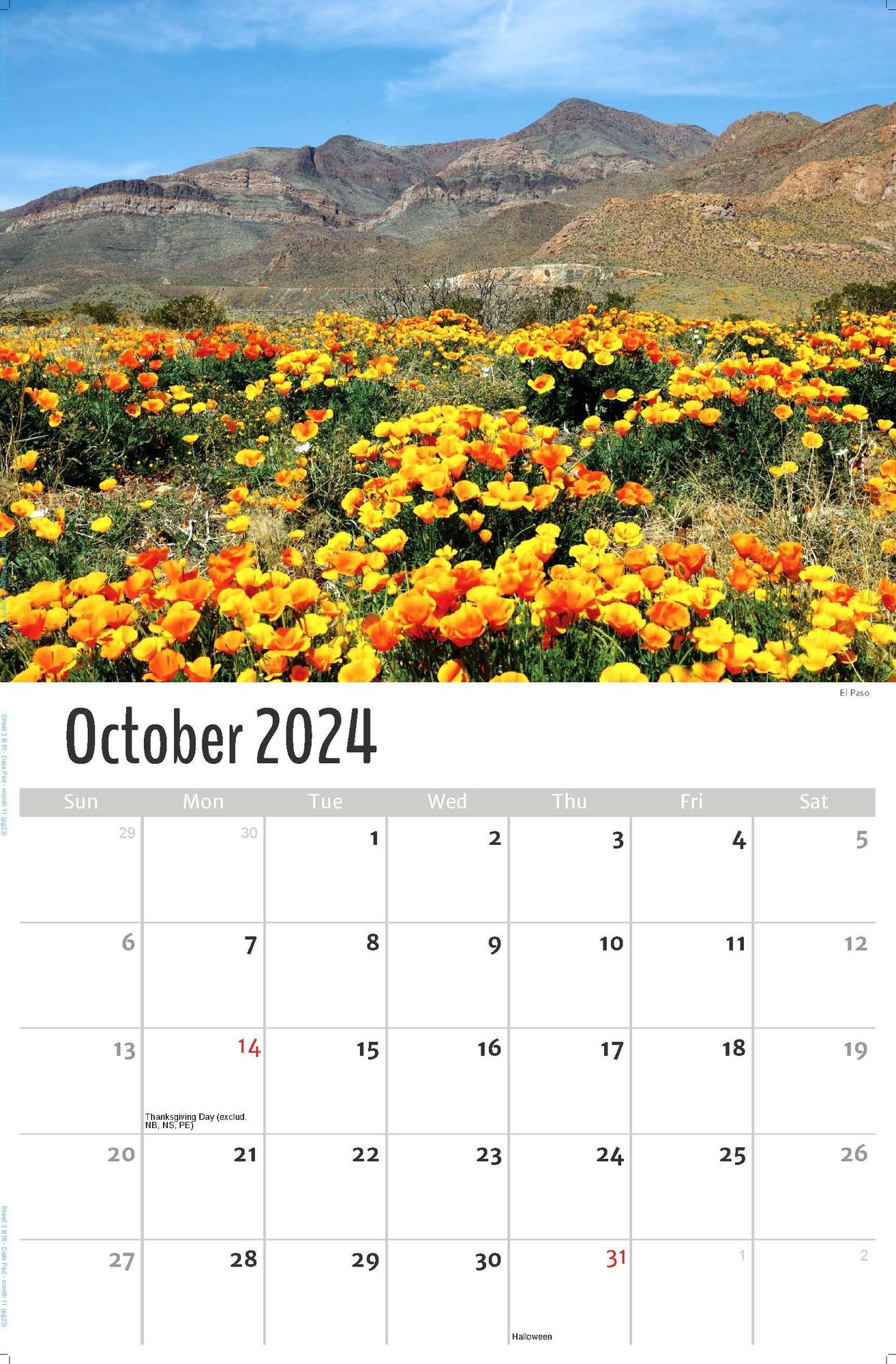 2024 Wall Calendar | Texas State Scenic